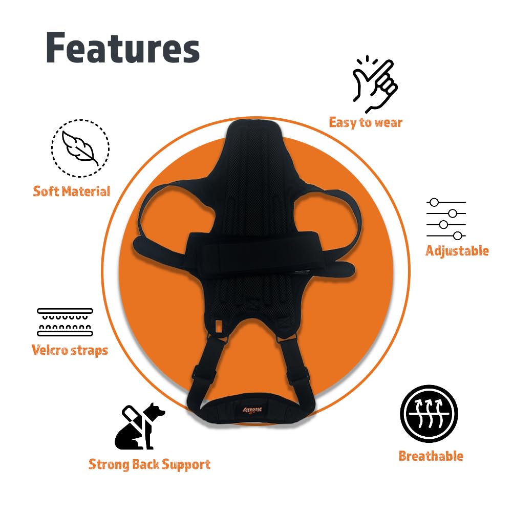 NeoAlly Dog Back Brace for Dogs Arthritis, IVDD, Spinal Surgical Recovery, and Back Disease Prevention (Extra Large)