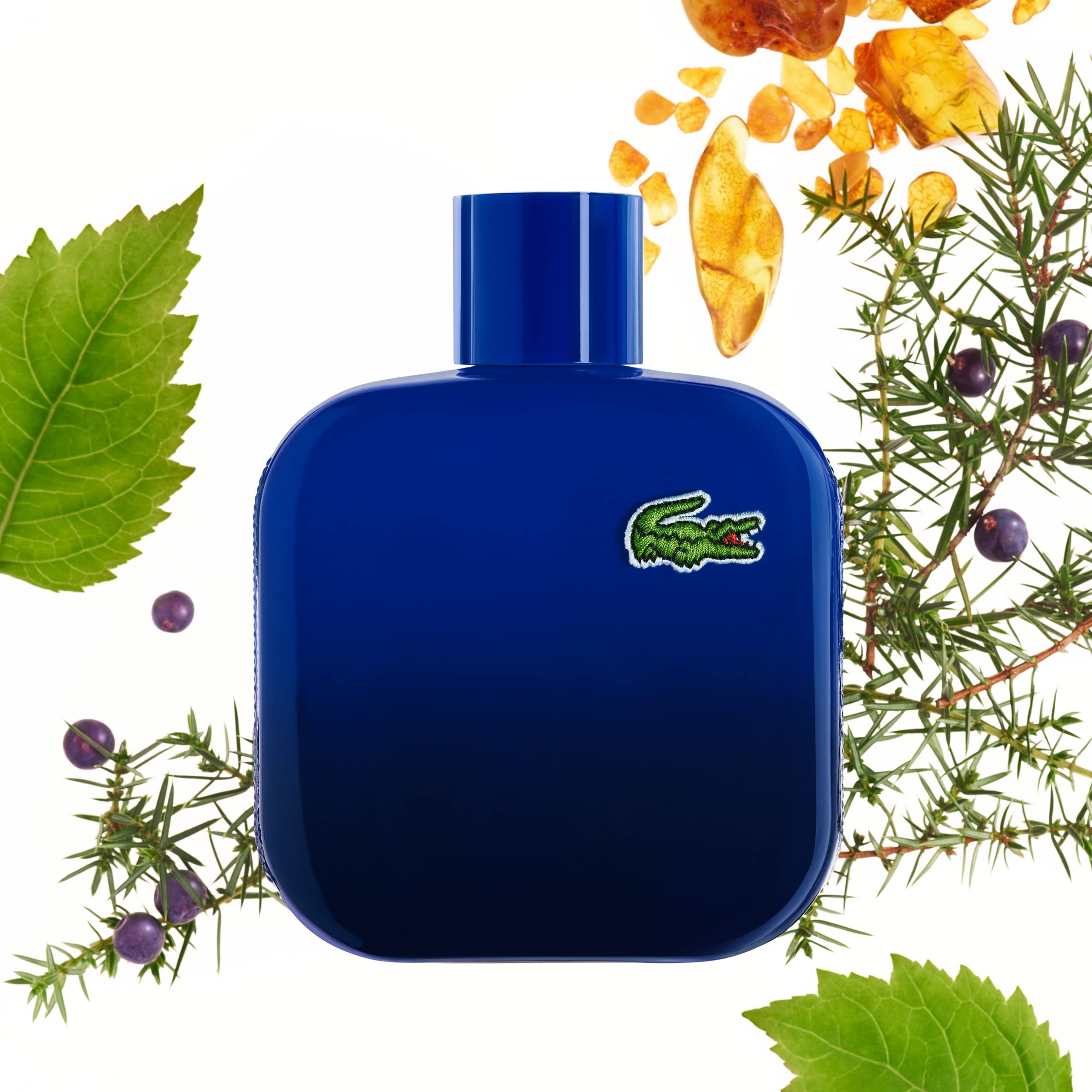 Lacoste Lacoste Eau De Lacoste L.12.12 Pour Lui Magnetic By Lacoste for Men - 3.3 Oz Edt Spray, 3.3 Oz