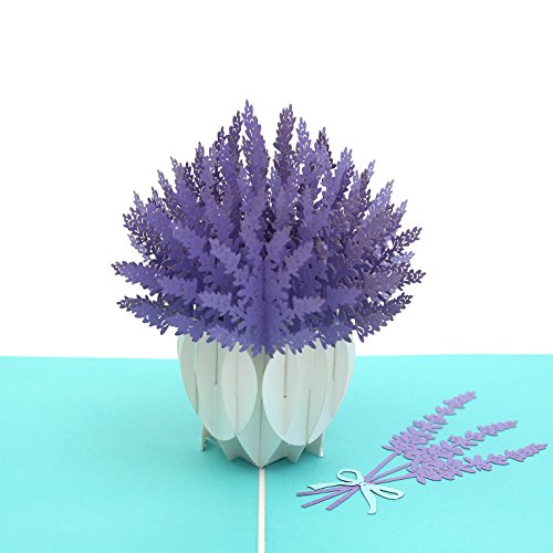 Liif Lavender Blooms Pop Up Card, 3D Flower Greeting Card, Pop Up Card for All Occasions, Birthday, Mother's Day, Anniversary, Wedding, Congratulations, Get Well Card, Handmade Gift