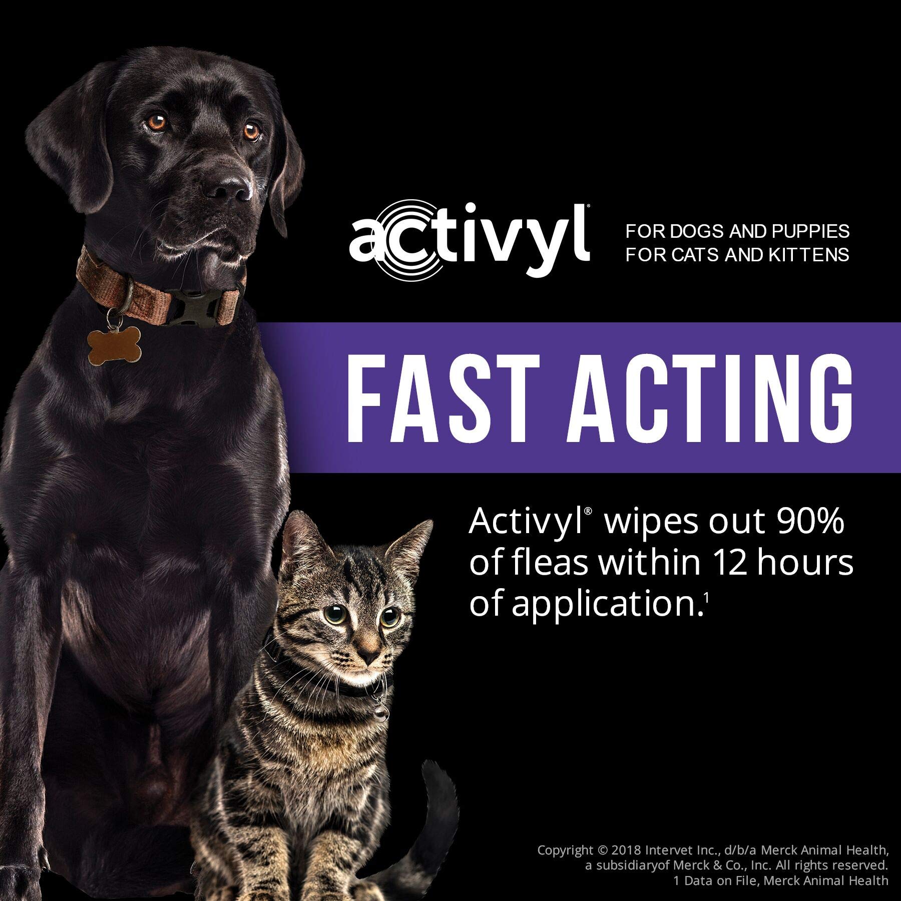ACTIVYL Toy Dogs & Puppies 4-14lbs, 3-pack