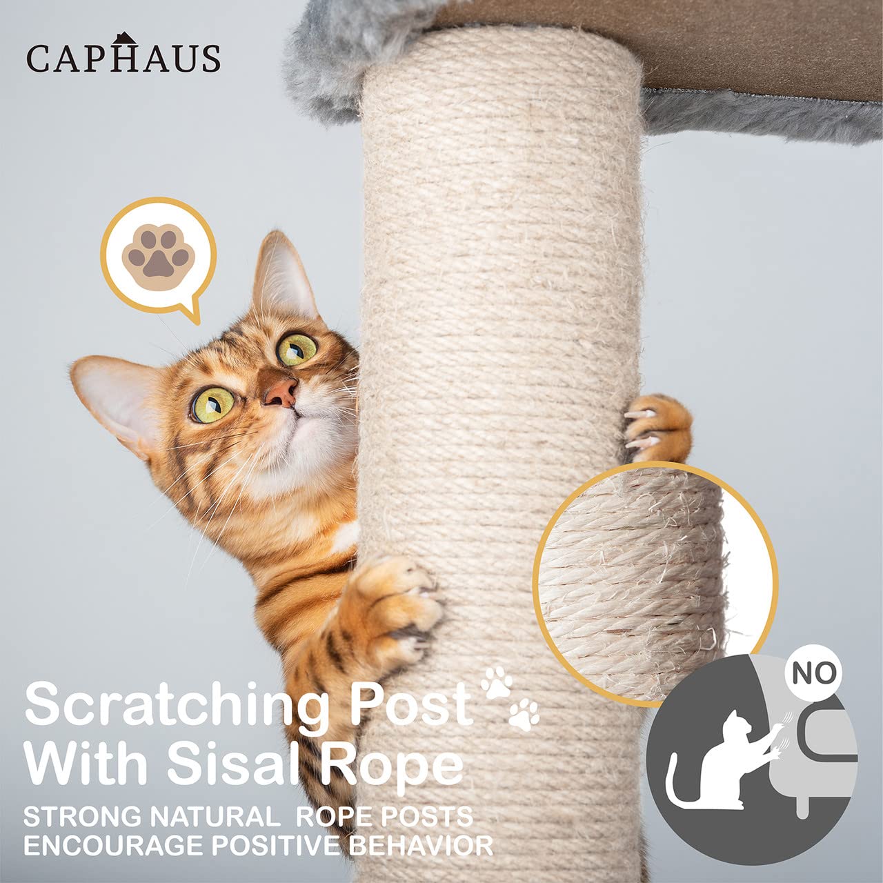 CAPHAUS 70-Inch Activity Tree with Hammock, Multi-Level Modern Cat Climbing Play Tower w Tall Top Perch, Cat Cave Condo, Indoor Cat Treew Cute Scratching Posts for Large Cats Kittens