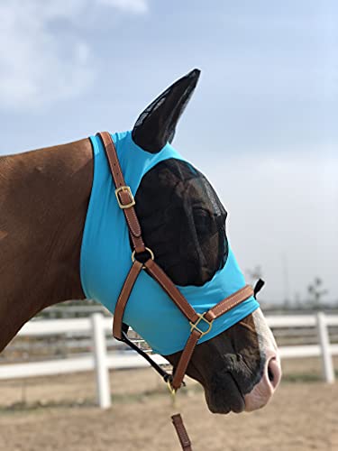 TGW RIDING Horse Fly Mask Super Comfort Horse Fly Mask Elasticity Fly Mask with Ears We Only Make Products That Horses Like (Pacific Blue, L)