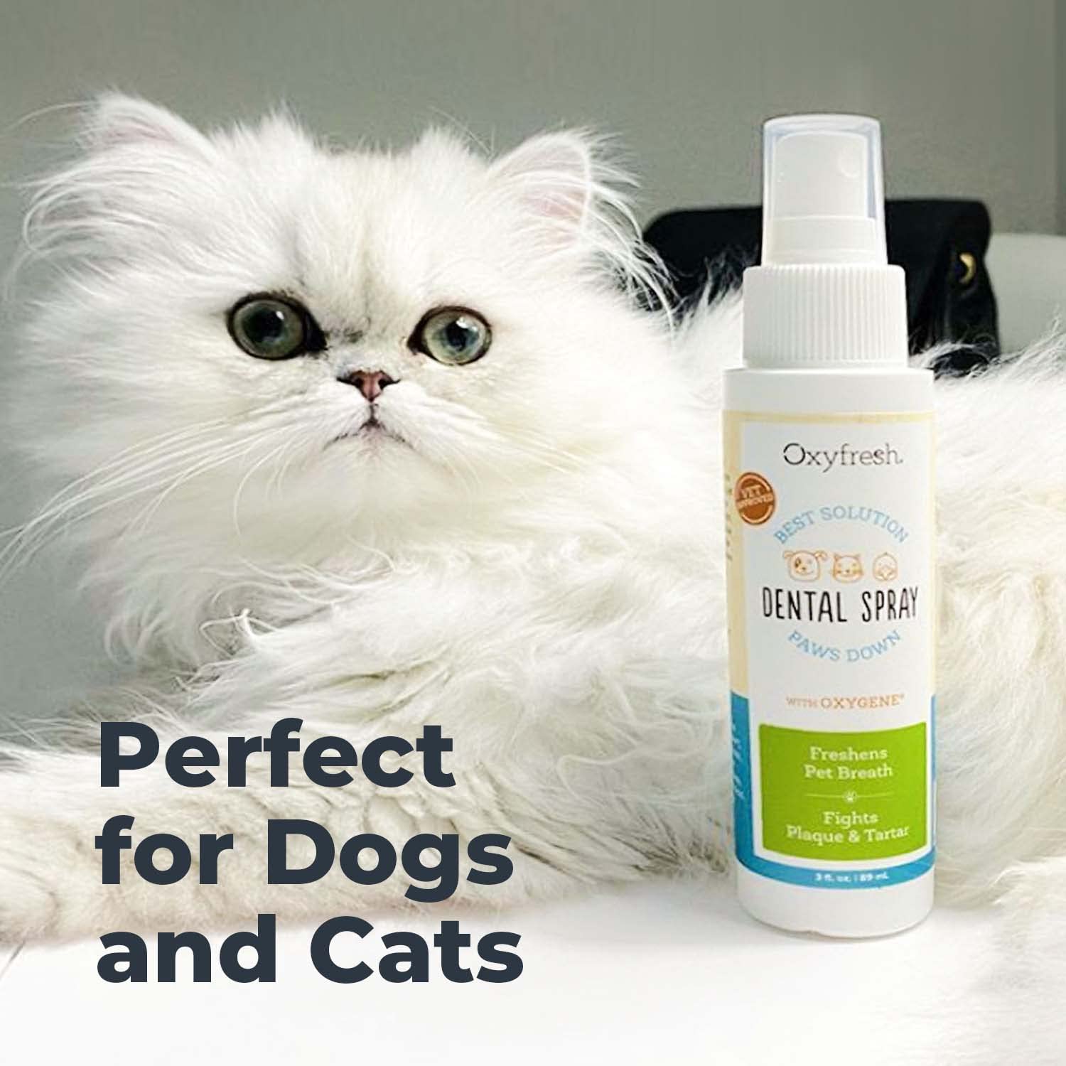 Oxyfresh Advanced Pet Dental Spray β Instant Pet Fresh Breath: Easiest No Brushing Pet Dental Solution for Dogs and Cats β Best Way to Fight Pet Plaque, Keep Teeth & Gums Healthy. 8oz.