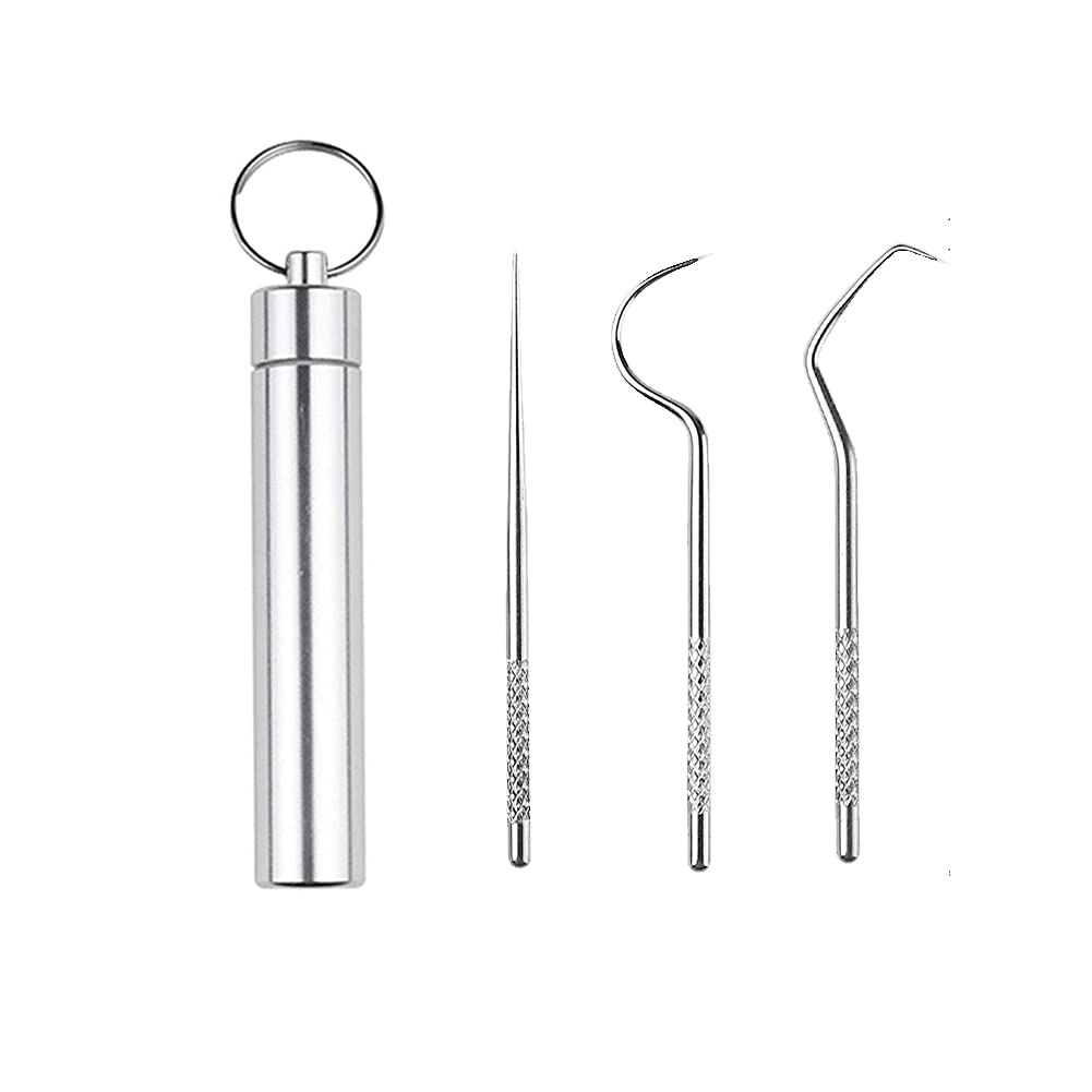 Angzhili 3 Pcs/Set Stainless Steel Toothpicks Kit,Reusable Tooth Picks Set,Portable Pocket Toothpick,Travel Toothpicks with Holder for Travel, Outdoor