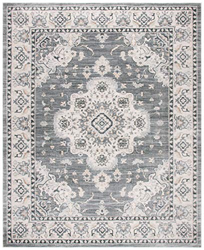 SAFAVIEH Isabella Collection 8' x 10' Grey / Light Grey ISA921F Oriental Non-Shedding Living Room Bedroom Dining Home Office Area Rug