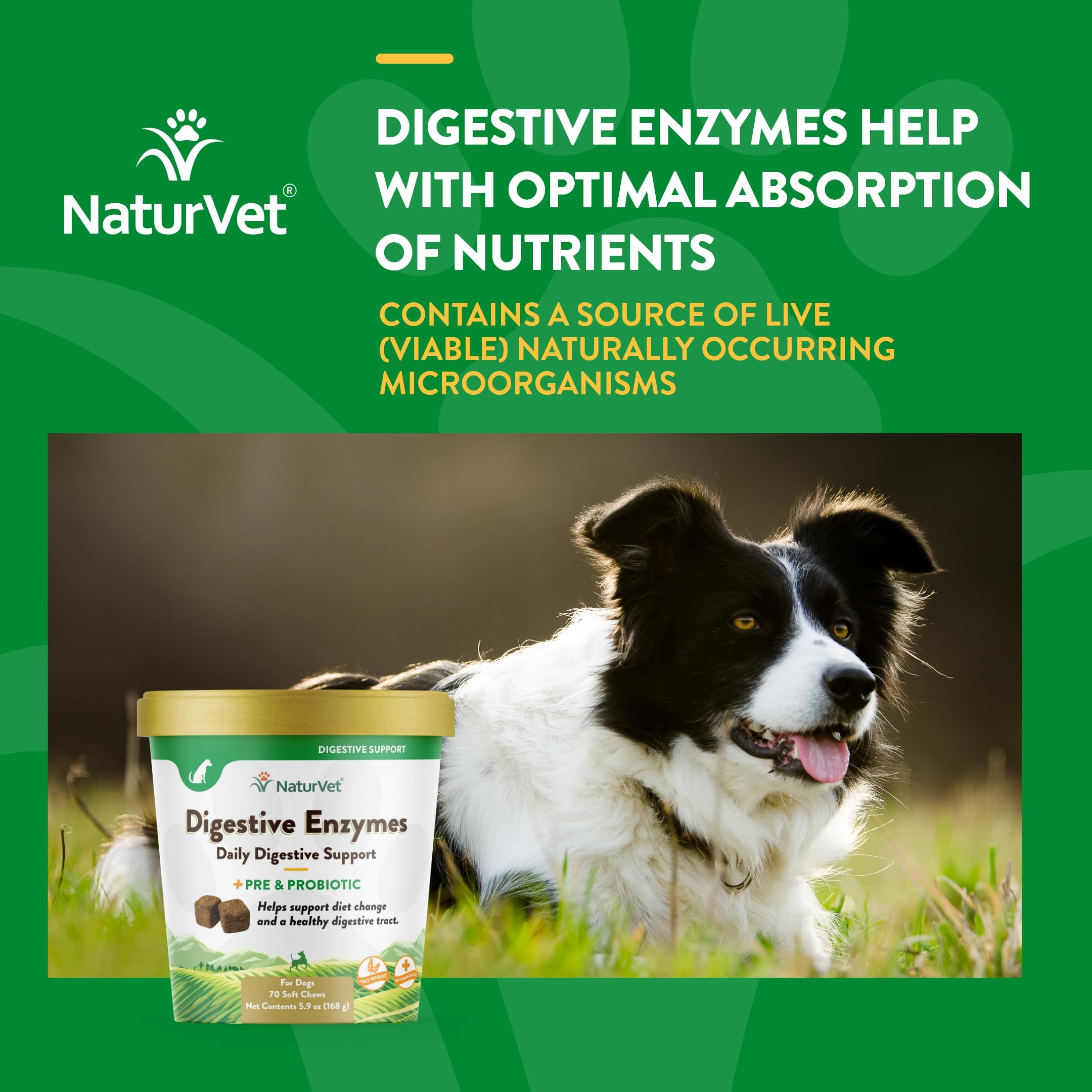NaturVet Advanced Probiotics and Enzymes Supplement Digestive Enzymes - Plus Probiotics & Prebiotics Soft Chews, 70 Count Made in The USA with Globally Source Ingredients 70 Soft Chews