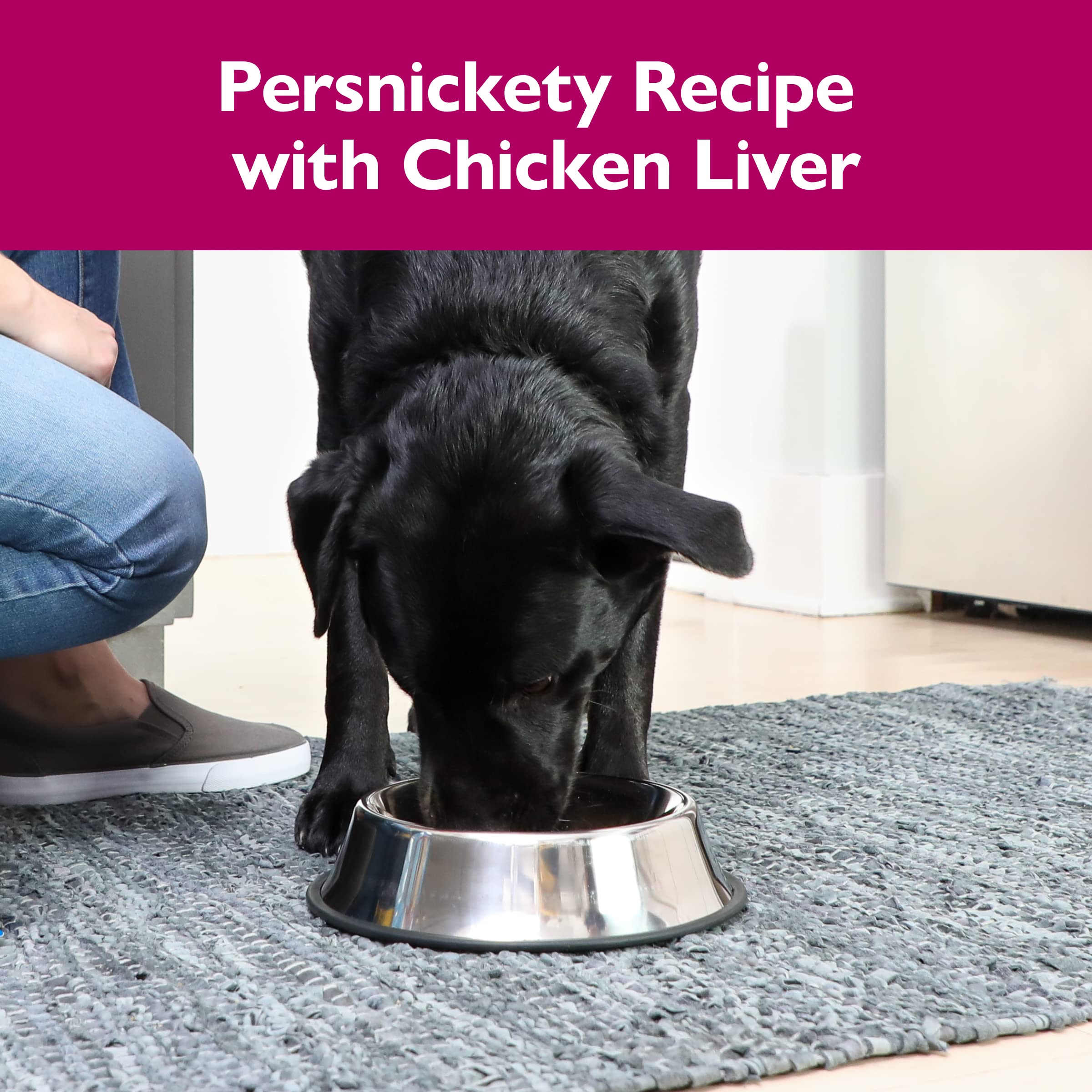 Bil-Jac Picky No More Medium & Large Breed Chicken Liver Recipe Dry Dog Food 6 Pounds (2-Pack)