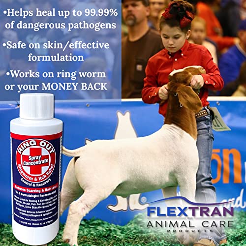 Show Pro Blue Sheep Blanket Mesh Butt for Show Sheep & Lamb - Livestock Supplies for Sheep Cover. Free Ring Out Concentrate for Proven Ringworm & Fungus Prevention Included (Large)