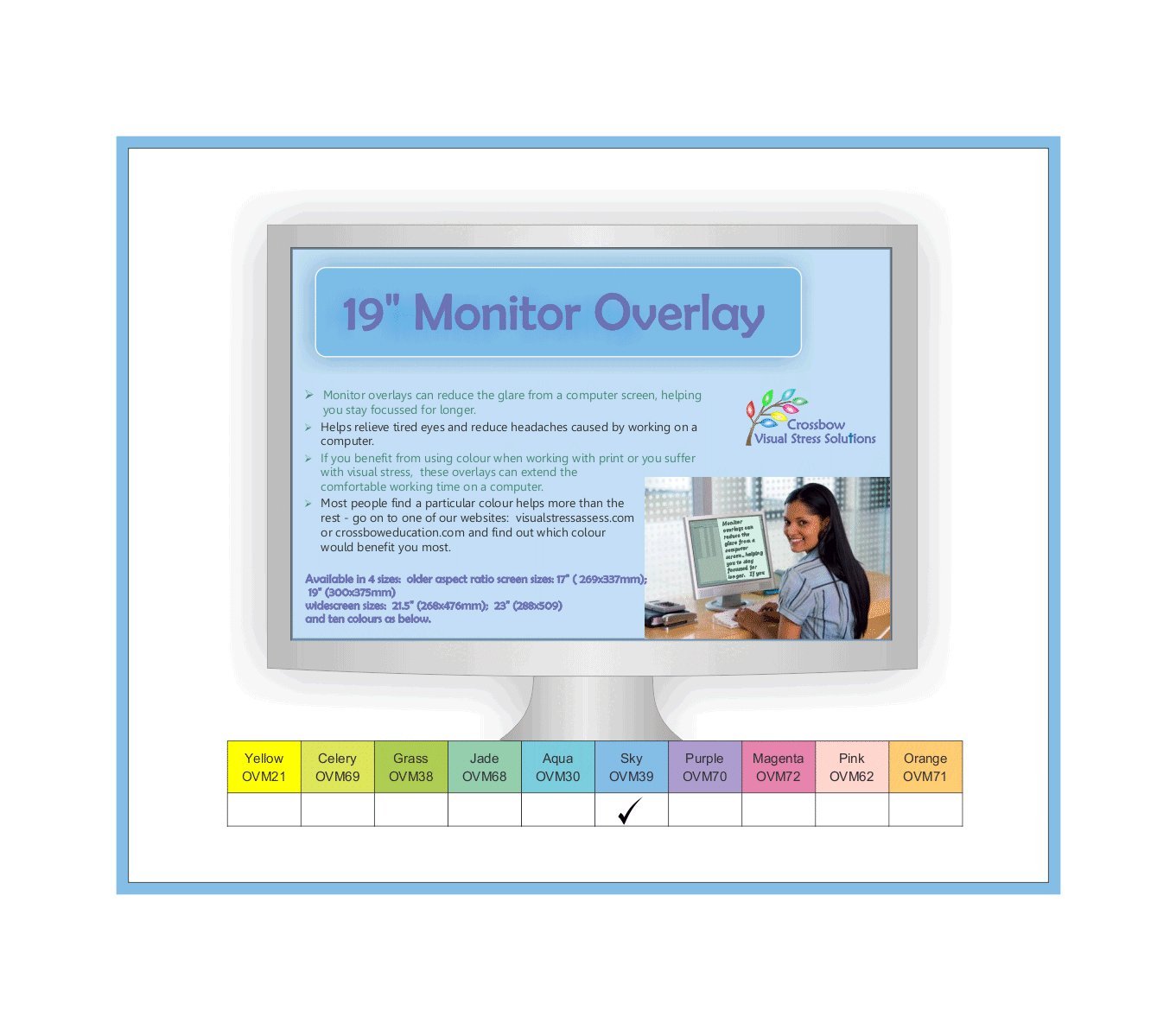 Crossbow Education: Monitor Overlay 19inch - Sky