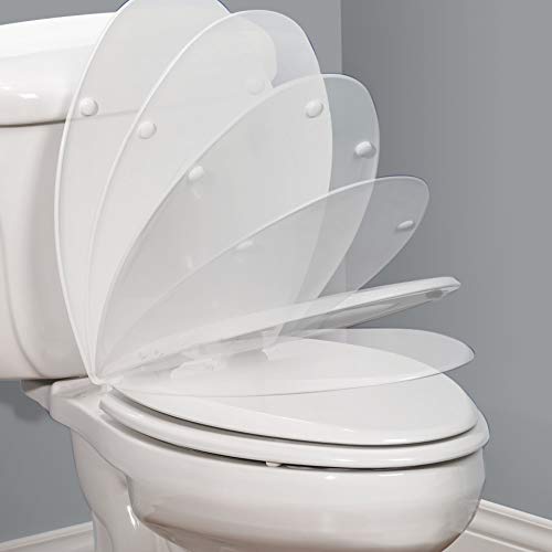 Bemis B1980NL 000 Renew Plus Heated Bidet Cleansing Spa with Warm Air Dryer, 3 Wash Functions and iLumaLight Night Light, ELONGATED, White