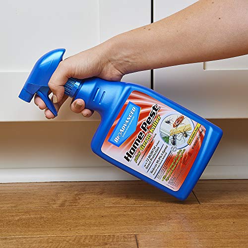 BioAdvanced Home Pest Germ Killer Indoor & Outdoor Insect Killer, Ready-to-Use, 24 oz