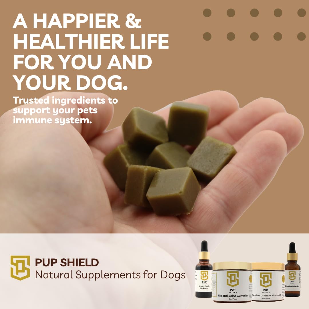 Pup Shield Dog Diarrhea Relief Gummies | Vet-Formulated Gut Health Support Treats with Probiotics, Pumpkin, Ginger, Marshmallow Root | Pure Digestive Aid for Canine Stomach Issues - 90 Gummies