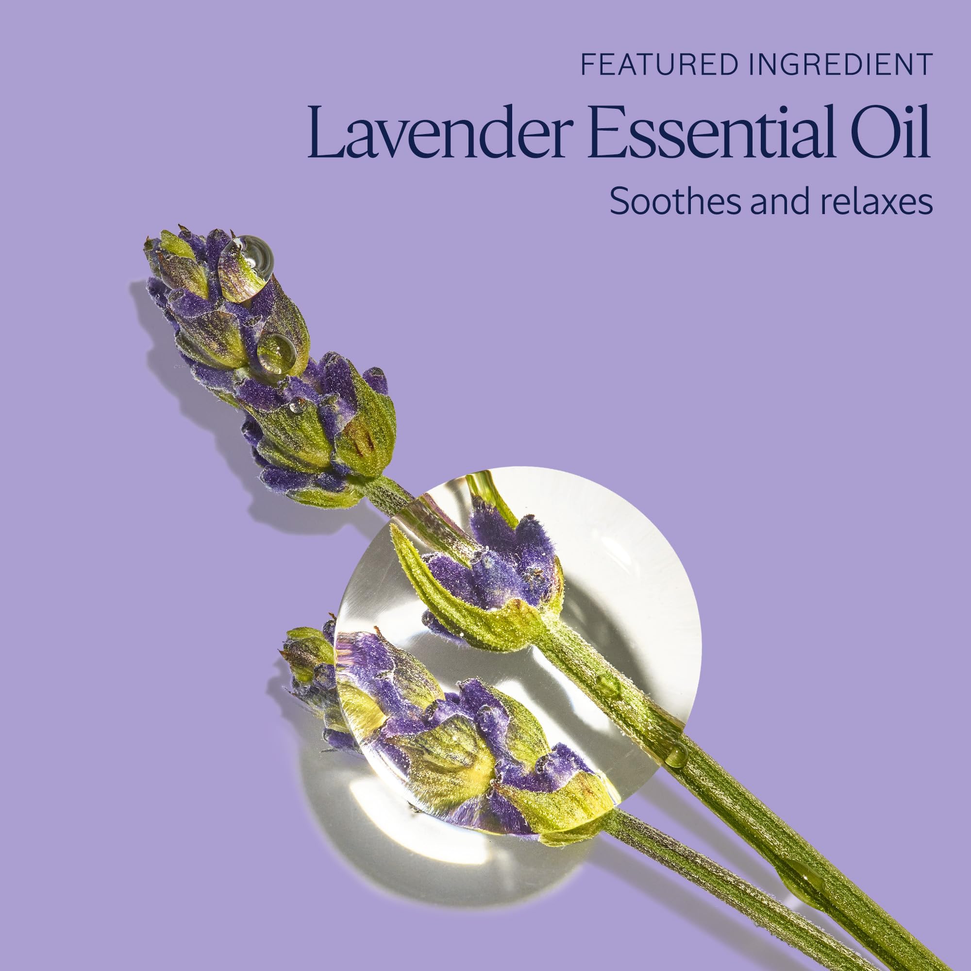 L'Occitane Lavender Foaming Bath, 16.9 Fl Oz (Pack of 1)