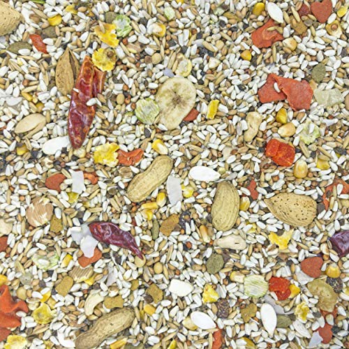 Higgins 2 Bags of Safflower Gold Parrot Food, 3 Pounds each