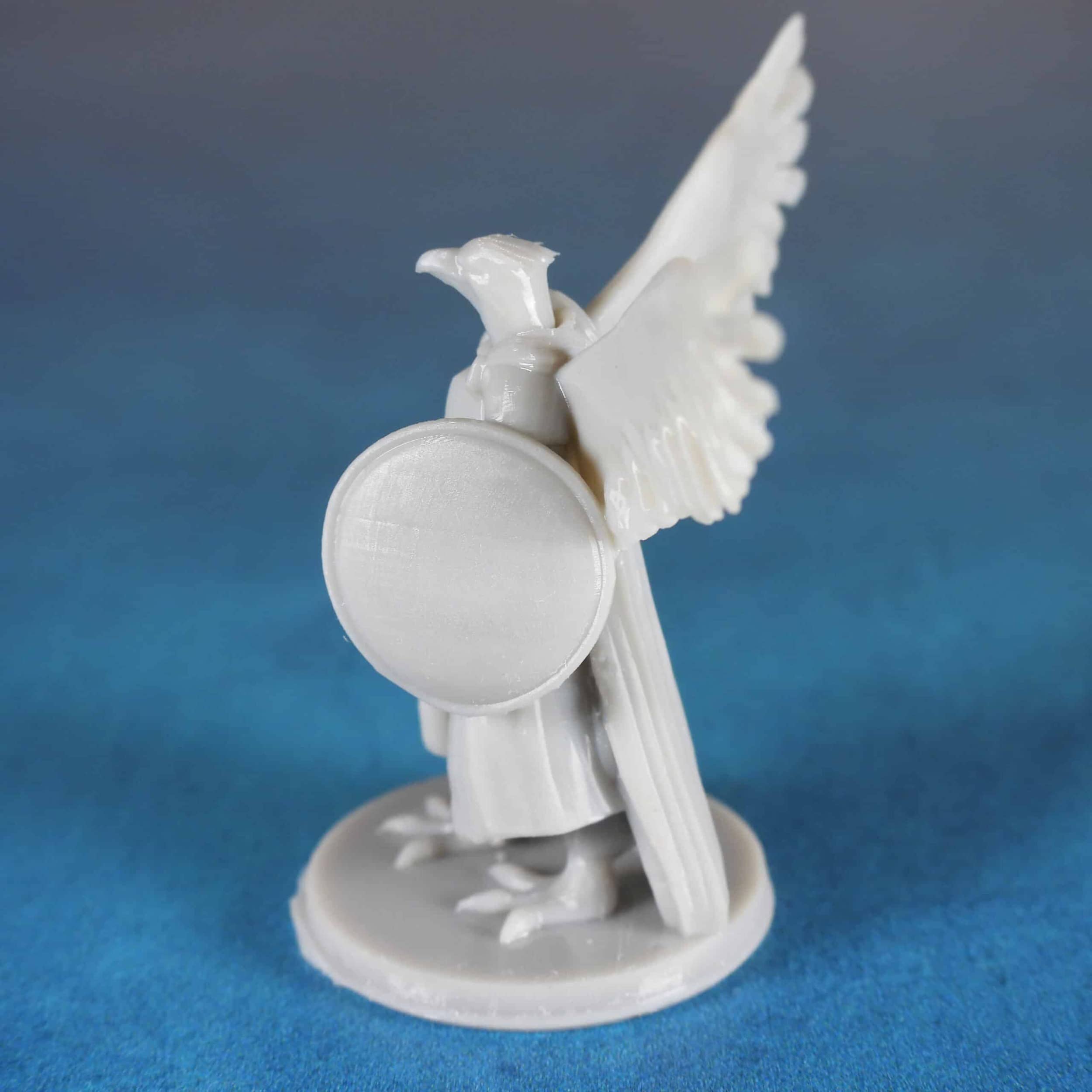 Aarakocra Male Cleric