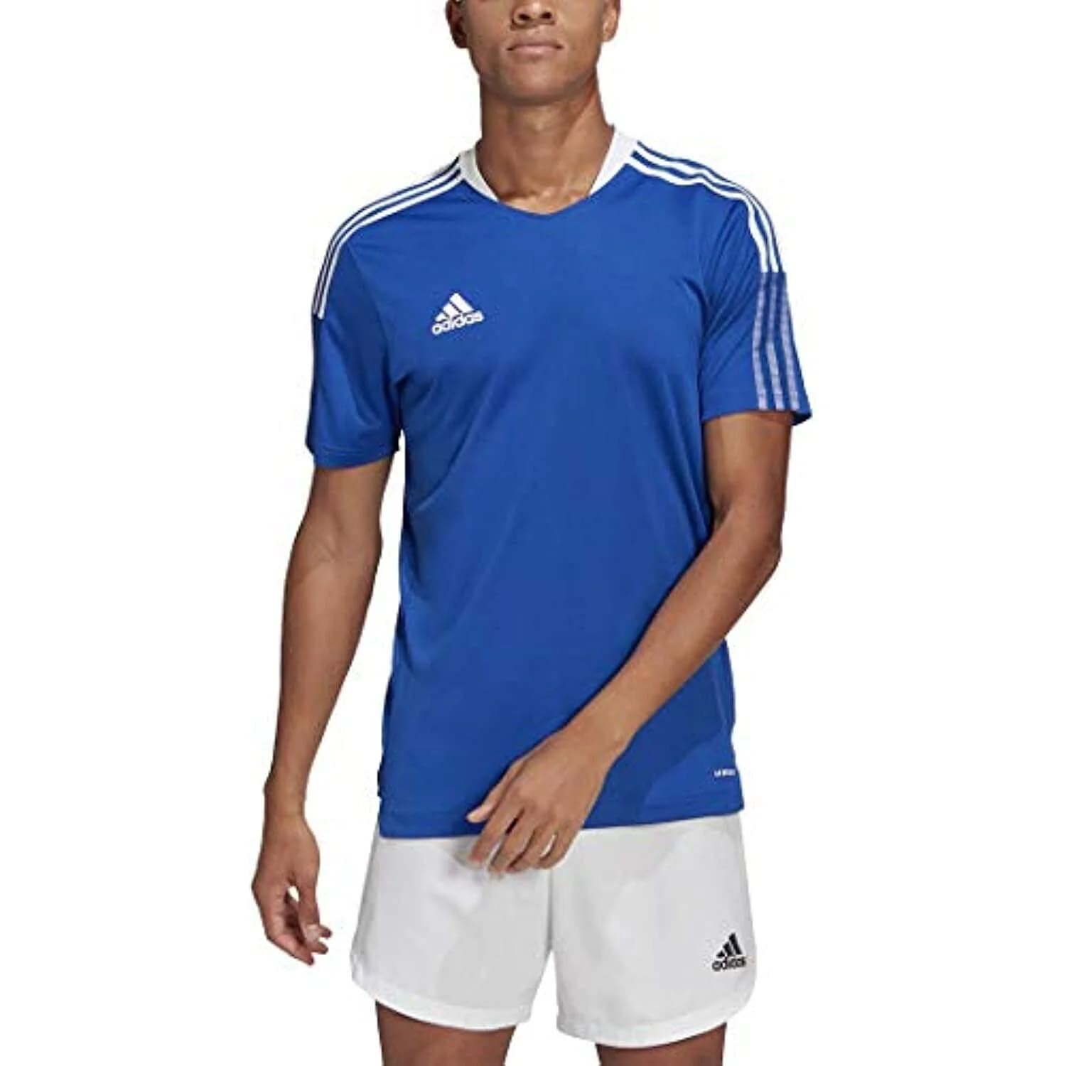 adidas Men's Tiro 21 Training Jersey, Team Royal Blue, Small