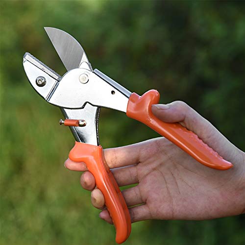ATAAY Trimming tool Pruning shears gardening fruit tree shears garden tools bonsai gardening pruners grafting tools weeders Used for garden and lawn mowing work (Color : Red) (Red )