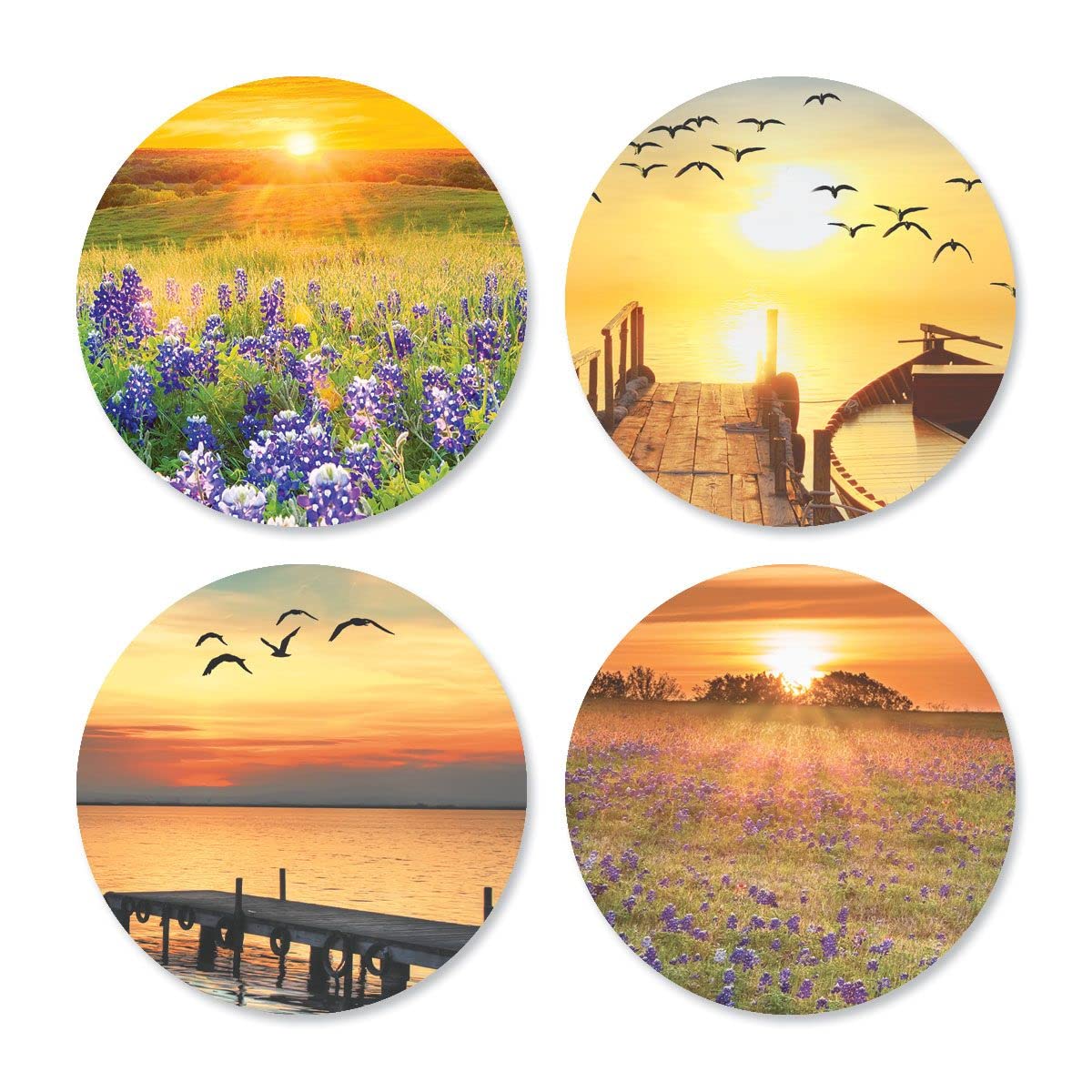 Sunrise Celebration Deluxe Birthday Greeting Cards - Set of 8 (4 Designs), Large 5" x 7", Happy Birthday Cards with Sentiments Inside, includes White Envelope