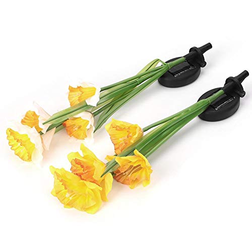 Alinory Lights, Outdoor Solar Powered LED 4 Daffodil Yellow Flowers Lights Lamp for Garden Patio Backyard Decoration Home