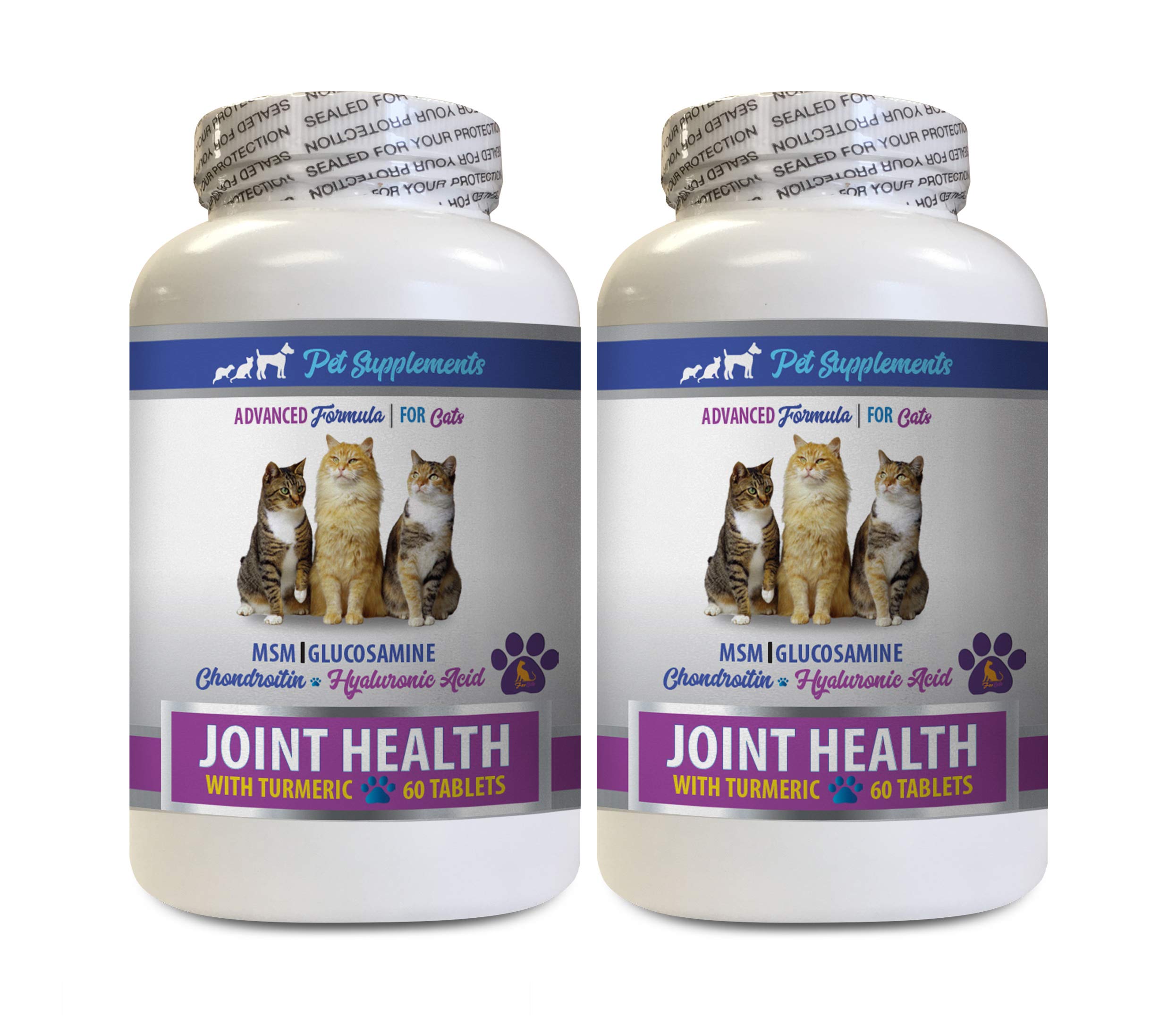 cat Joint Problem - Cats Joint Health with Turmeric - MSM - Natural Support for Hip and Joints - cat Hip and Joint Supplements - 2 Bottles (120 Tablets)