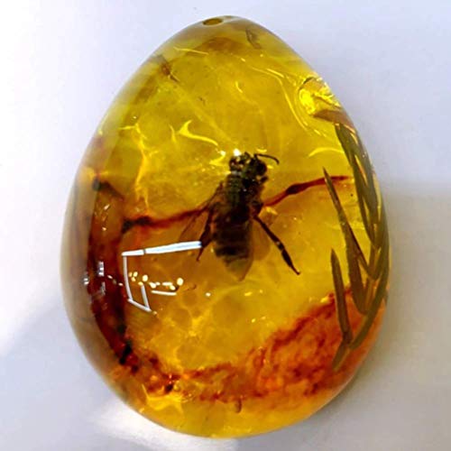 VORCOOL Amber Fossil with Insects Samples Stones Crystal Specimens Home Decorations Collection Oval Pendant for Kids (Random Pattern,8 x 6 x 1.8cm,1pc)