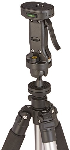 Amazon Basics Pistol Grip Camera Travel Tripod With Bag - 34.4 - 72.6 Inches, Silver and Black