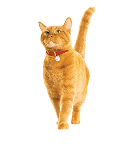 9Lives Meaty Paté With Real Chicken Wet Cat Food, 5.5 Ounce (Pack of 24)