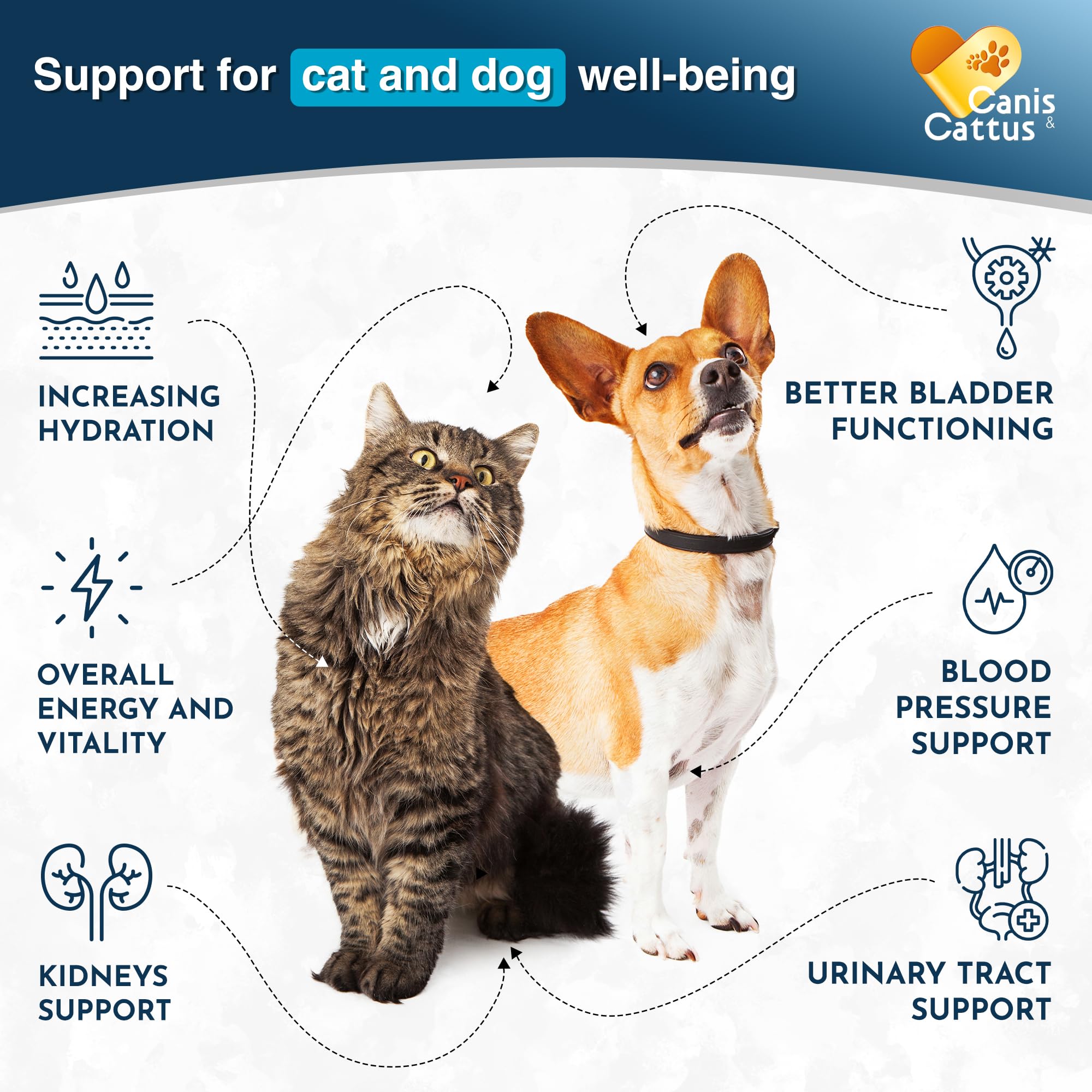 Cat & Dog UTI | Cat UTI | Bladder Support for Dogs | Cat Urinary Supplement | Dog Kidney Support | Kidney Support for Cats | UTI Dog | Echinacea Flavor | 1 Bottle x 2 Oz