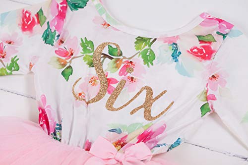 Grace & Lucille Children's Birthday Dress (6th Birthday) (Pink Floral Long Sleeve, Gold, 6T)