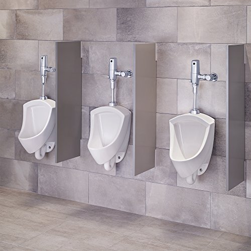 American Standard 6002001.02 Pintbrook Water Saving Urinal, White