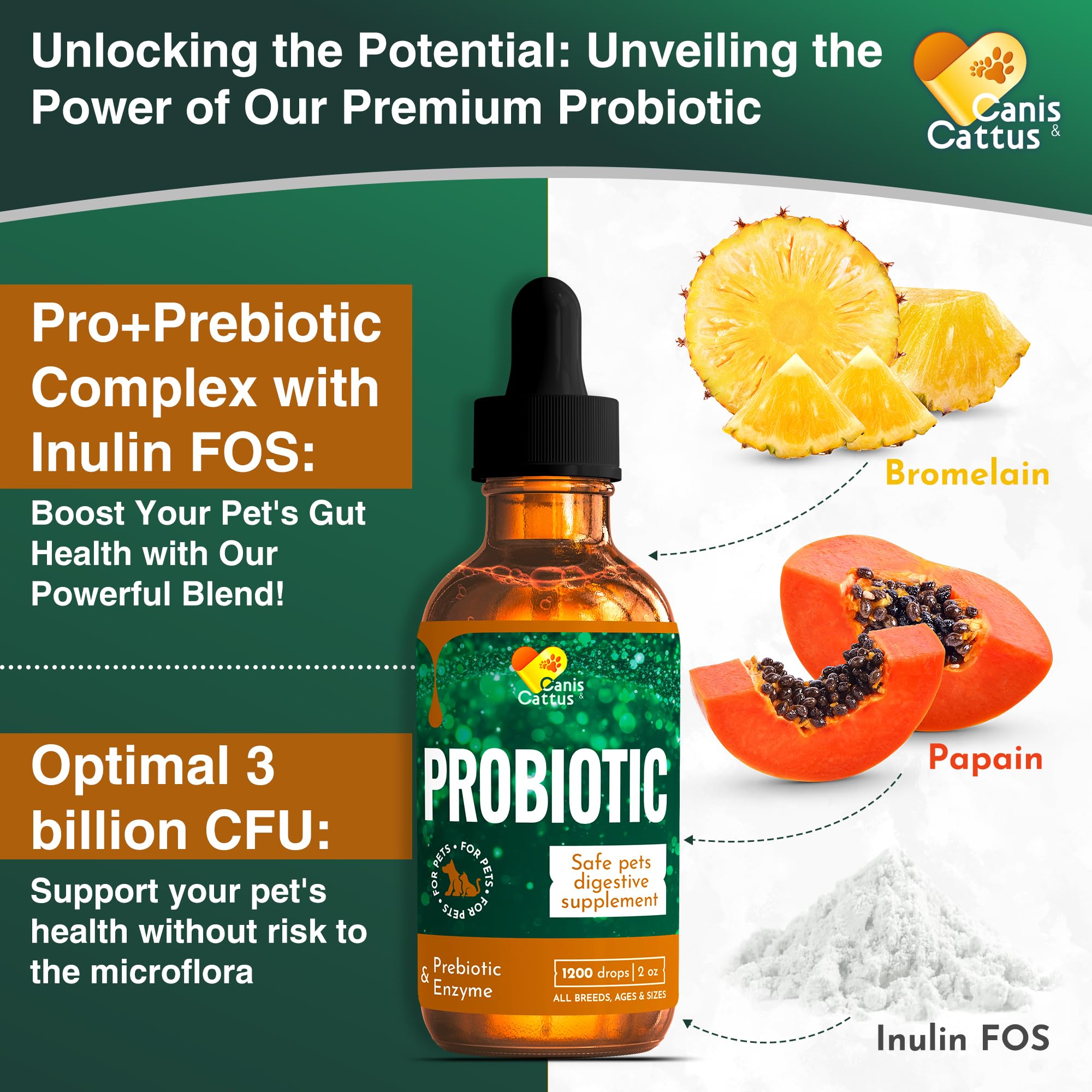 Cat Antibiotic | Dog Antibiotic | Kennel Cough | Cat Probiotic | Dog Vitamins and Supplements | Liquid Probiotics for Dogs | Dog Cough Suppressant | Bundle | 4 Pack