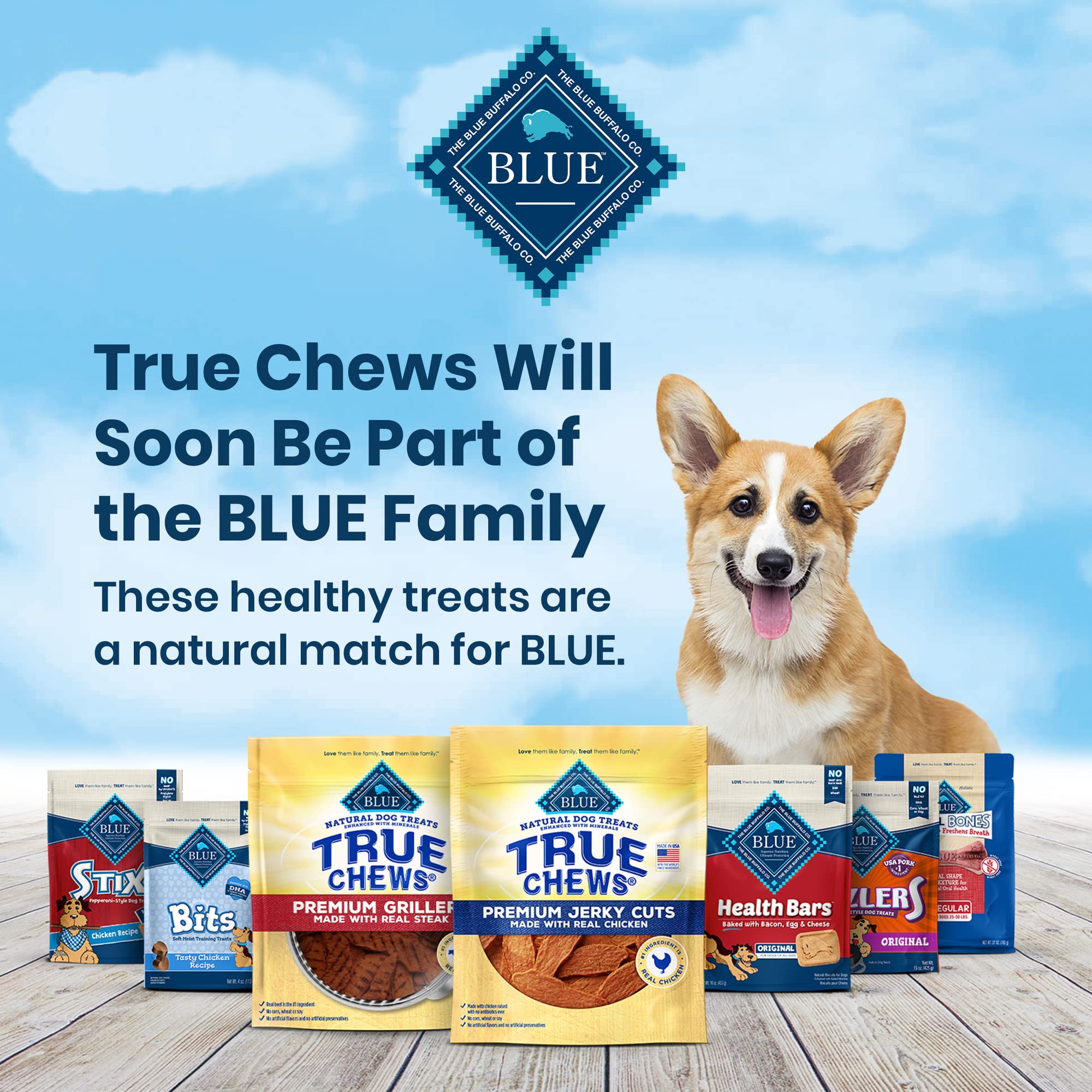 Blue Buffalo True Chews Natural Chewy Cat Treats, Duck 3 oz bag