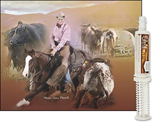 UltraCruz Livestock Probiotic Supplement, 60 ml, Paste (4 Day Supply)