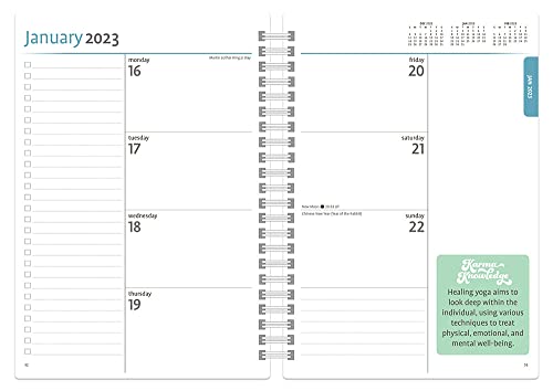 Big Ambitions | 2023 6.9 x 9.8 Inch Weekly Karma Planner | Thicker and Bigger than Average Planner | Brush Dance | Artwork Motivation Inspiration