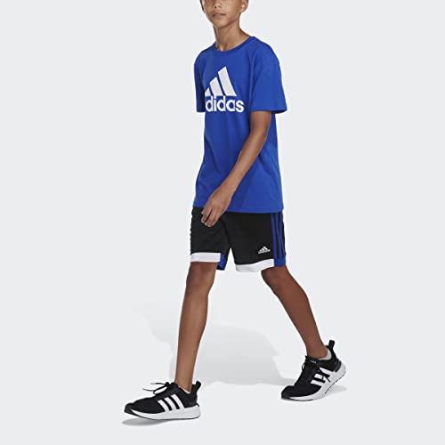 adidas Boys' Elastic Waistband Winner Short, Black with Collegiate Royal, X-Large (18/20)