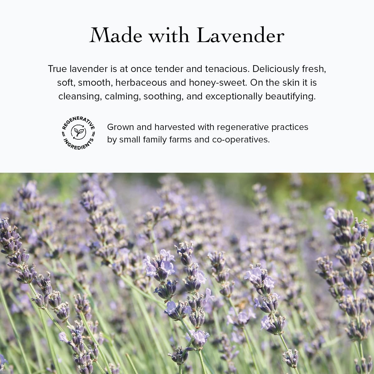 evanhealy Lavender HydroSoul | Copper Distilled Hydrosol | Calms Redness, Soothes Irritated Reactive Skin | Organic Lavender Facial Tonic | Calming Face Toner
