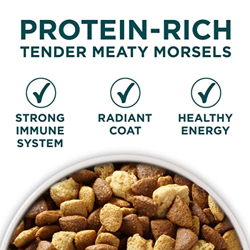 Purina ONE Plus Large Breed Puppy Food Dry Formula - 40 Lb. Bag.