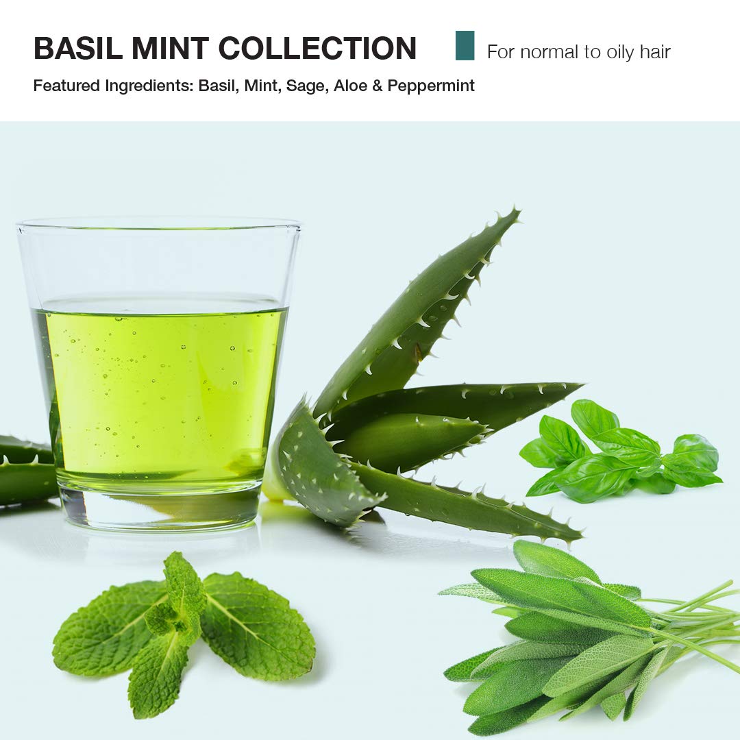 MOP Revitalizing Shampoo, Basil Mint, 8.45 Fl Oz