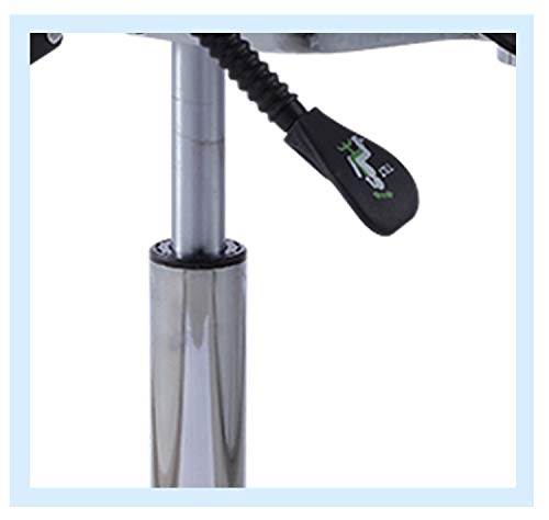 Adjustable Rolling Dental Stool Ergonomic Heavy-Duty Chair with Wheels for Beauty Salon Massage Dental Clinic Office Home Spa