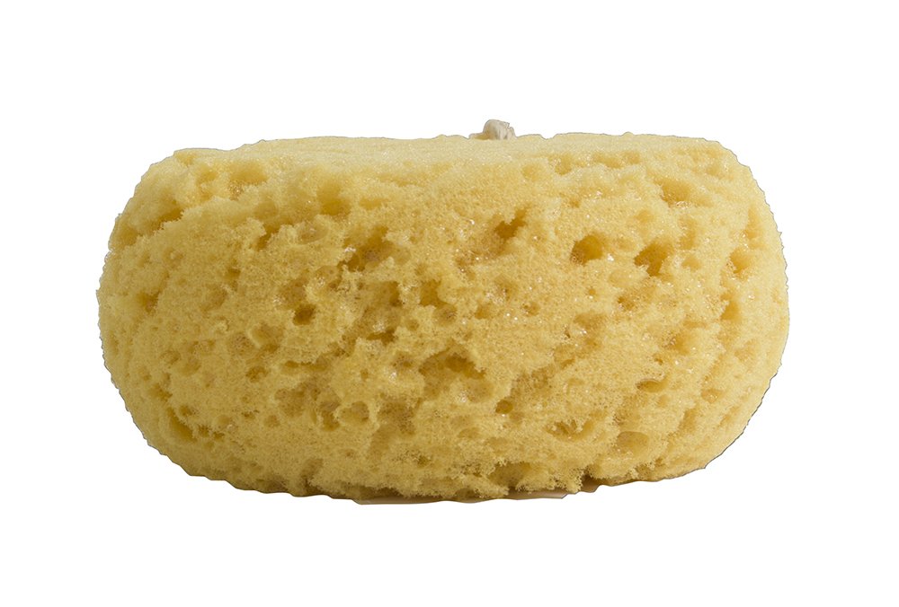 Evriholder Foam Body Sponge for Exfoliating Large Scrubber for a Relaxing Shower or Bath, Pack of 2