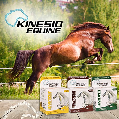 Kinesio Equine Tape - Tex Gold FP Horse Tape -Tape Made Specifically for Horses - 2”x 16’ Rolls - Green