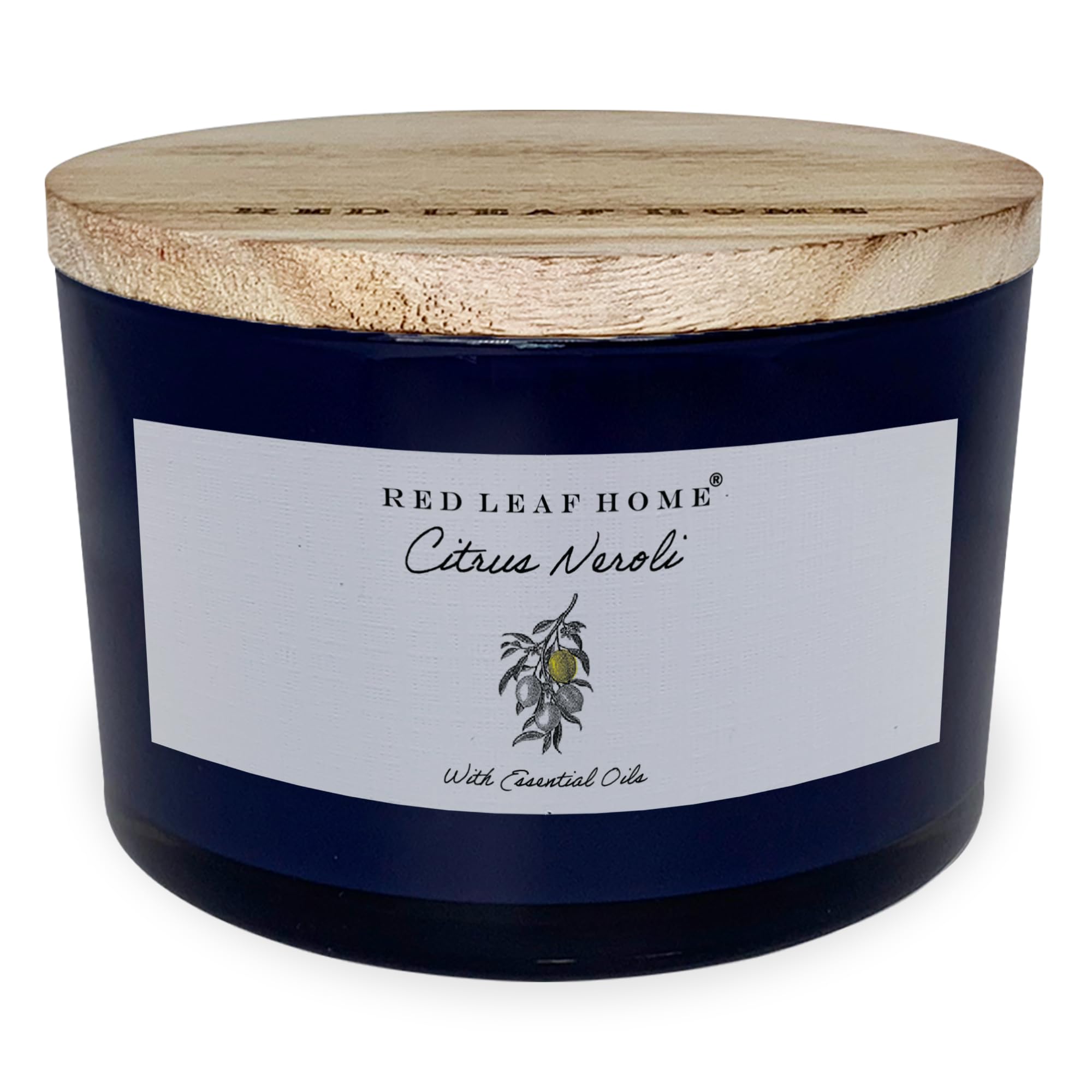 Red Leaf Home Alpine Lake Jar Candle | Includes Wooden Lid, Large | Aromatherapy | Botanicals Collection | 16.5oz