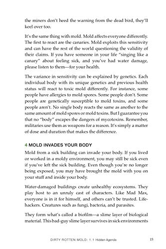 Break the Mold: 5 Tools to Conquer Mold and Take Back Your Health