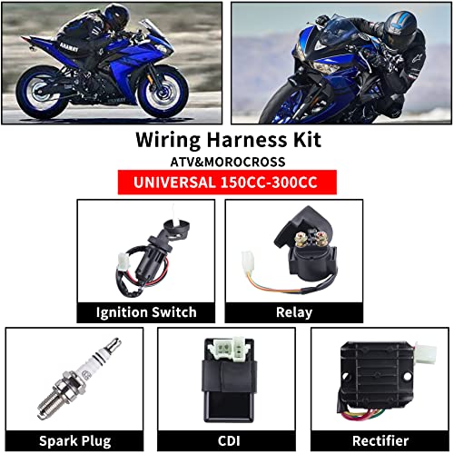 Complete Electrics Wiring Harness Stator Coil CDI Solenoid Relay Spark Plug Tail Light for 4 Wheelers Stroke ATV (150cc 200cc 250cc 300cc) Pit Dirt Bike Go Kart Zongshen Lifan by OTOHANS AUTOMOTIVE