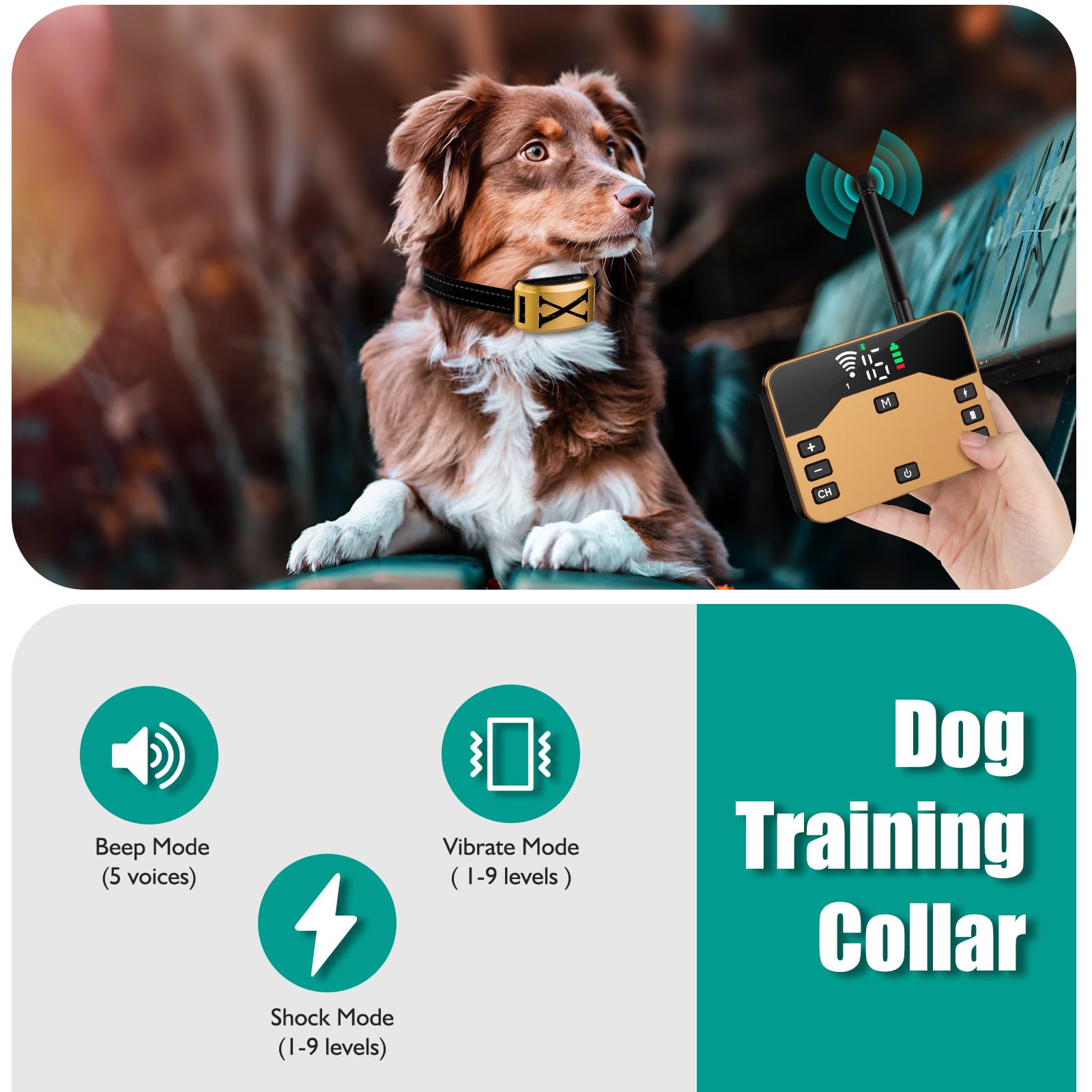 ABHY Wireless Dog Fence, Electric Fence & Remote Training Collar,Portable Pet Perimeter Fence,Adjustable Range for All Large,Medium Dogs