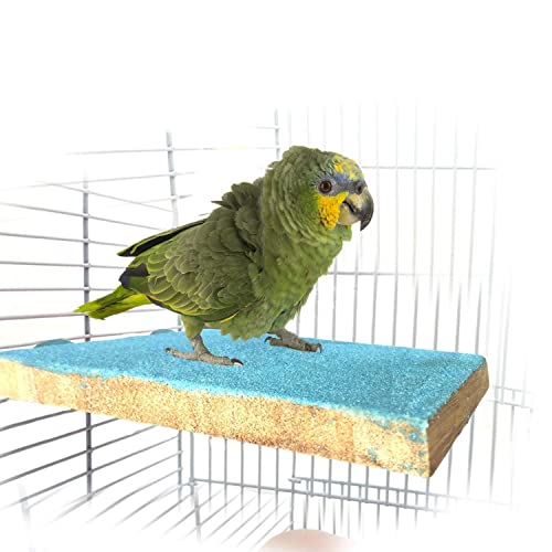 Litewoo Bird Perch Grinding Stand for Bird Parrot Budgie Parakeet Cockatiel Conure Lovebird Finch(5.1" x 3.5")