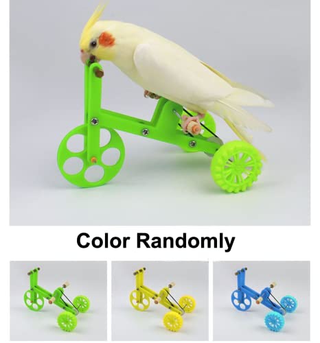 Bird Intelligence Training Toy, Parrot Puzzle Bicycle Toy for Small Medium Bird,Parrot Educational Table Top Trick Prop Toy, Bird Foot Talon Toy for Lovebird Conures Parakeet Random Color