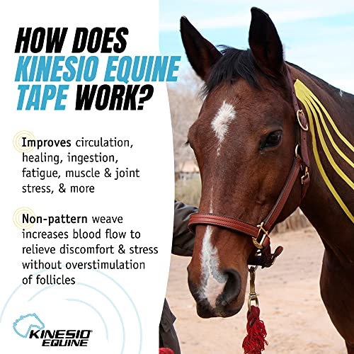 Kinesio Equine Tape - Tex Gold FP Horse Tape -Tape Made Specifically for Horses - 2”x 16’ Rolls - Green