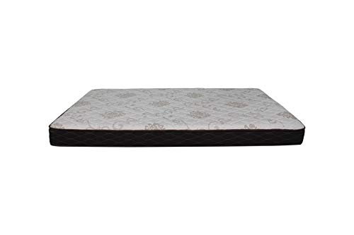 Parklane Mattresses Traveler 6 Inch Foam RV/Camper/Trailer Mattress (Short Queen - 60"x75")