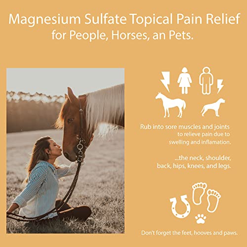 Dr. Milt's Horse Topical Epsom Salt Pain Relief Ointment Rub: Poultice and Liniment Gel. 1-8oz Gel
